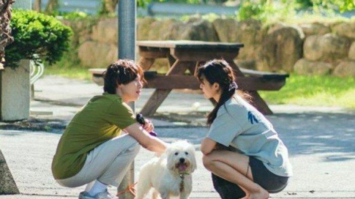 Summer Strike: Aldım Hayatı Greve… — Tanıtım | 22dakika.org