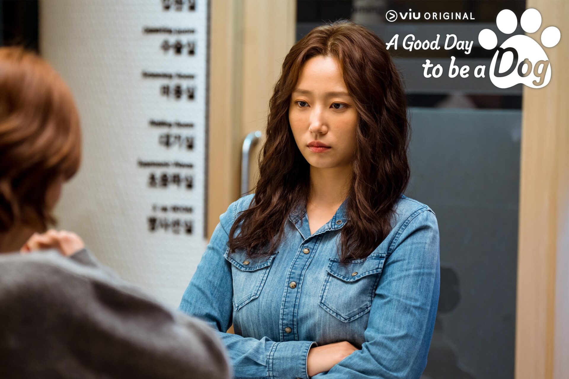 A Good Day to Be a Dog – Tanıtım | 22dakika.org