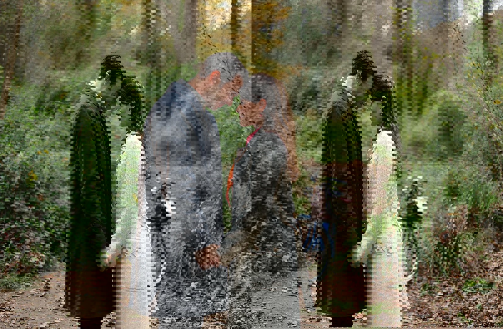 2024-2025 Sezonunda Ekrana Gelecek Yeni Türk Dizileri – 5 | 22dakika.org